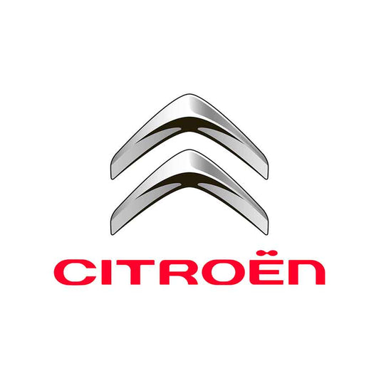 Citroën Vehicle Windows | Professional Race Plastics