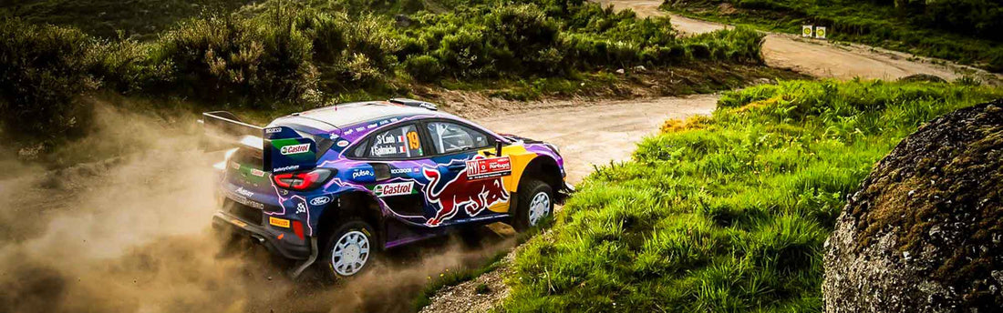 Renault Vehicle Windows | Professional Race Plastics